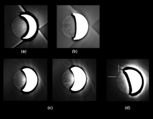 The 2023–2024 western elongation of Venus: interim report – British ...